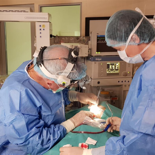 ORL | Diagnostic și intervenții chirurgicale | SANADOR