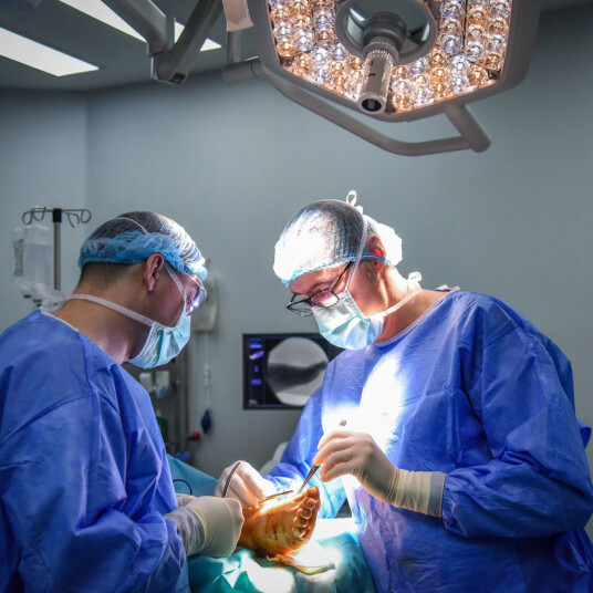 Dr. Codrin Huszar | Ortopedie și traumatologie | SANADOR