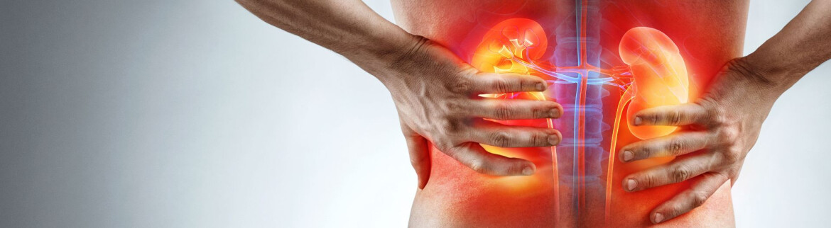 Tot ce trebuie să știi despre hidronefroză | SANADOR